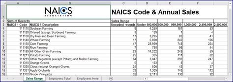 US Business Firmographics Company Size