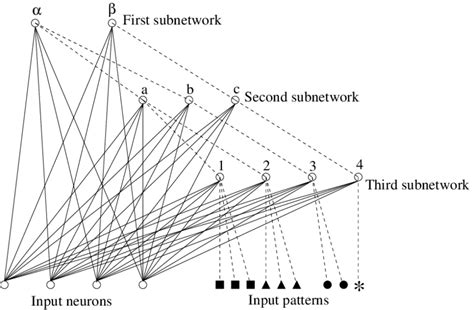 Structure Of The Self Organizing Neural Networks Download Scientific Diagram