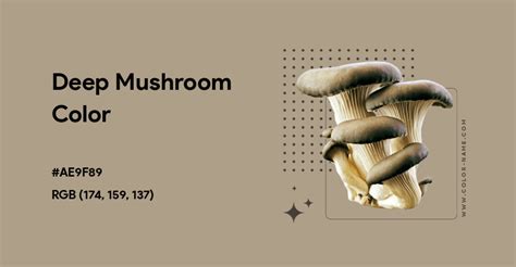Deep Mushroom Color Hex Code Is Ae9f89 Deep Mushroom Color Hex Code Is Ae9f89