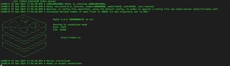 Learn More About Redis With Java Example Vishal Kukreja