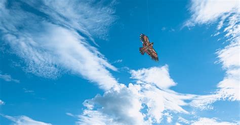 4k 바탕화면 구름 낀 하늘 로우앵글 샷 맥 바탕화면 바탕화면 배경 연 푸른 하늘 흰 구름에 관한 무료 스톡 사진