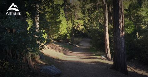 Best Trails In San Bernardino National Forest California Alltrails
