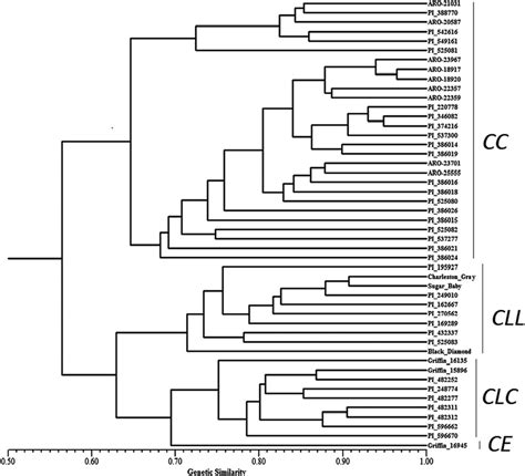 An Unweighted Pair Group Method With Arithmetic Mean Dendrogram Based Download Scientific