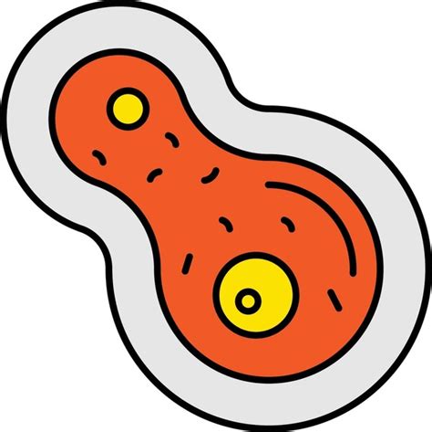 Binary Fission Yeast Over 6 Royalty Free Licensable Stock