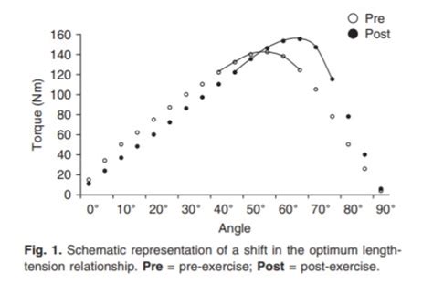 Reverse Nordic Curl Benefits How To Lift Big Eat Big