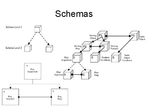 In The Name Of God Biomodelling Seminar A