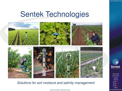 PPT - Sentek Technologies PowerPoint Presentation, free download - ID ...