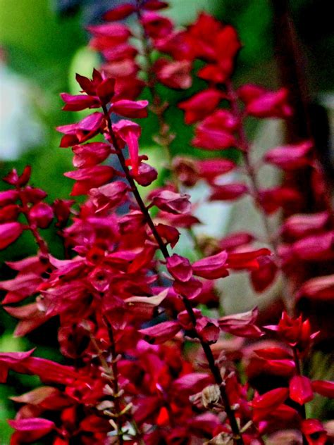 Bud Jenkins Fotografía
