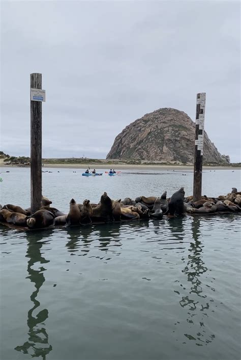 Tiki Boat Tour Morro Bay Ca