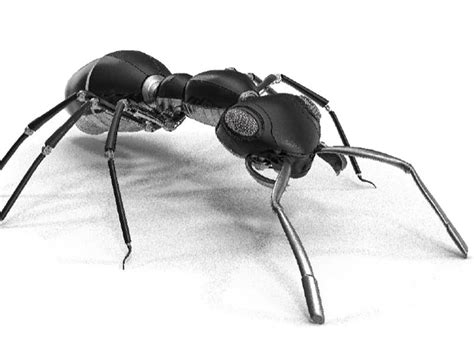 Tiny Robots That Replicate Ants Robinage