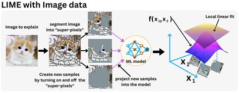 The Aiedge Explainable Ai Lime And Shap