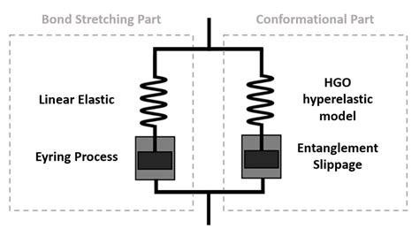 Spring And Dashpot Assembly Of The Proposed Buckley Material Model