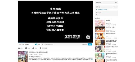 进入播放页面后依然无法拉取视频，同时不显示插件窗口 · issue 922 · ipcjs bilibili helper · github