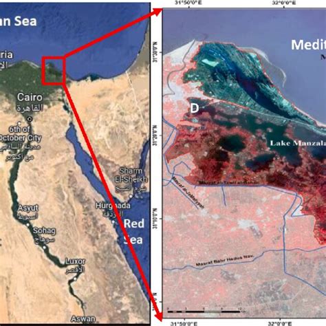 Map Of Egypt Left Shows The Location Of Manzala Lake Right With Its
