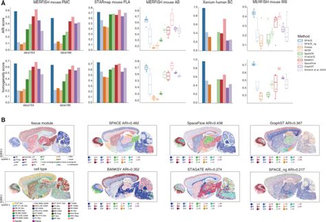Tissue Module Discovery In Single Cell Resolution Spatial Transcriptomics Data Via Cell Cell