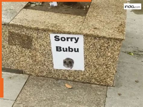 कौन आशिक अपने बूबू से मांग रहा है माफी नोएडा से लेकर मेरठ तक हर तरफ