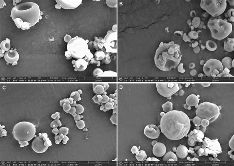 Surface Sems Of A Maltodextrin Only Particles M B Maltodextrin Plus