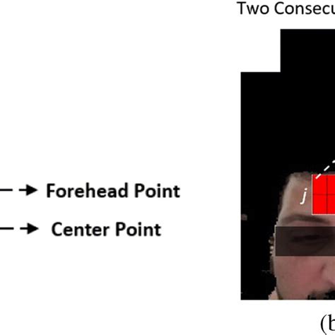 Skin Detection And The Center Of Gravity Pixel Detection Best Pixel Download Scientific