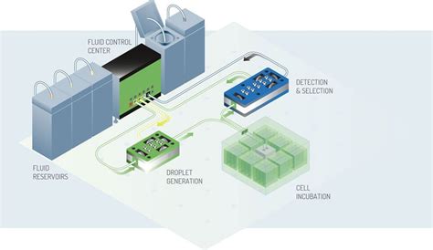 Strain Optimization Efficient Robotics