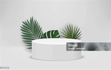 연단과 녹색 나뭇잎이 있는 밝은 방입니다 친환경 제품 진열장 템플릿입니다 3d 벡터 배경 0명에 대한 스톡 벡터 아트 및 기타 이미지 Istock