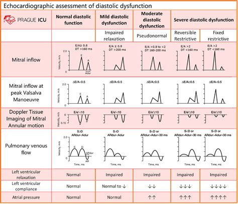 Grade 2 Diastolic Dysfunction