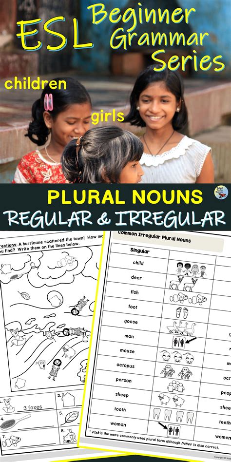 Esl Activities Nouns Packet Regular And Irregular Plural Nouns Print And Digital English Grammar
