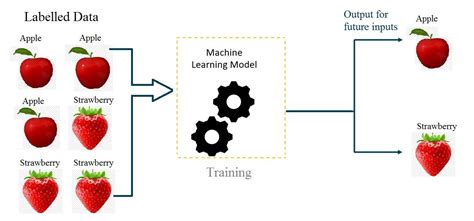 Introduction To Machine Learning Supervised Learning Unsupervised Learning Reinforcement