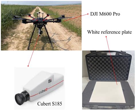 Remote Sensing Free Full Text Estimation Of Winter Wheat Plant