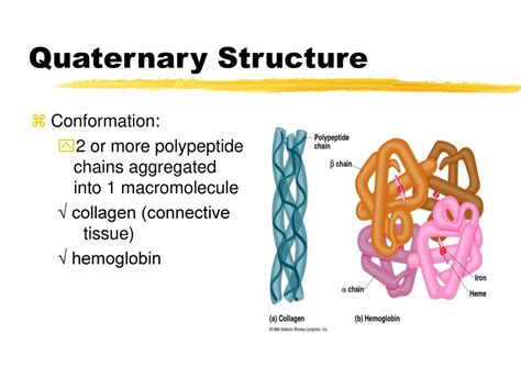 Lecture Chapter 4 And 5 Carbon And The Molecular Diversity Of Life Ppt Download