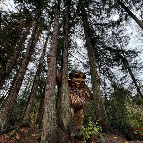 Jakob Two Trees In Issaquah Wa 2 Photos