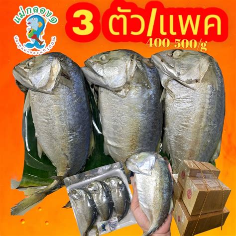 ปลาทูนึ่ง Size 3 ตัว กล่อง ขนาดความกว้าง 2 3 นิ้ว สูง 5 6 นิ้ว เป็น Size ใหญ่ของแม่กลอง