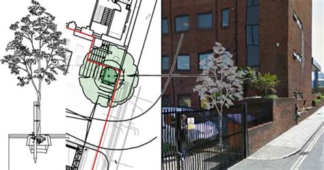 Tree Planting Design Treework Environmental Practice
