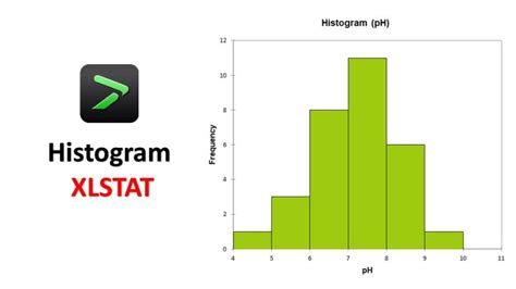 Creating Histograms In Xlstat Visualizing Data Distribution With Dr