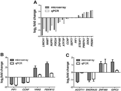 comparison of gene expression assessed by microarray and real time