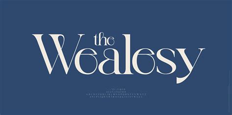 우아한 글꼴 로고 문자 알파벳 타이포그래피 럭셔리 클래식 뷰티 레터링 세리프 이탤릭체 글꼴 장식 웨딩 빈티지 복고풍 로고 벡터 일러스트 레이 션 필기에 대한 스톡 벡터 아트