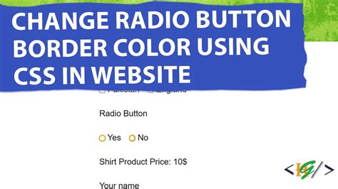 How To Change Radio Button Border Color Using Outline CSS In Form In Website WordPress PHP