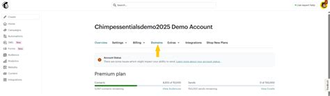 How To Check If Your Mailchimp Domain Is Authenticated Chimp Essentials