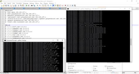 Tutorial Running The PS Exploit On Windows With Additional DNS Security