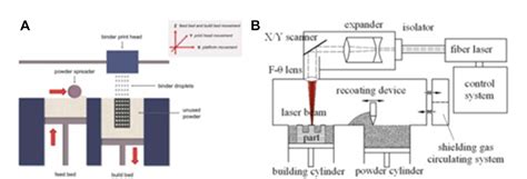 Figure 3 From Preparation Modification And Clinical Application Of Porous Tantalum Scaffolds