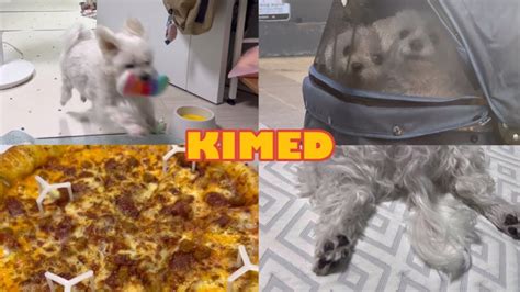 Vlog 40 집에서 먹고 자고만 해서 제목으로 쓸 내용도 없는 백수의 브이로그 Youtube