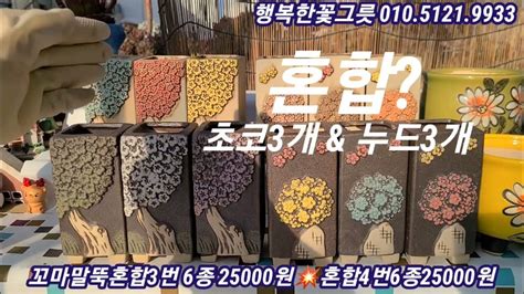 오늘은 롱분으로 소개해요 색상을 혼합으로 드리니 고민이 덜하죠~ 행복한 분갈이를 위한 행복한꽃그릇 01051219933