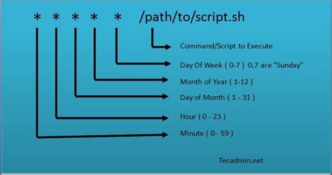 crear un script simple y ejecutarlo con cron and crontab en tu linux r