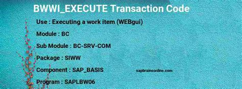 BWWI EXECUTE SAP Tcode For Executing A Work Item WEBgui