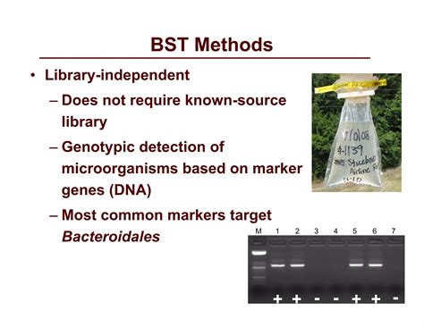 Bacterial Source Tracking Gentry Ppt