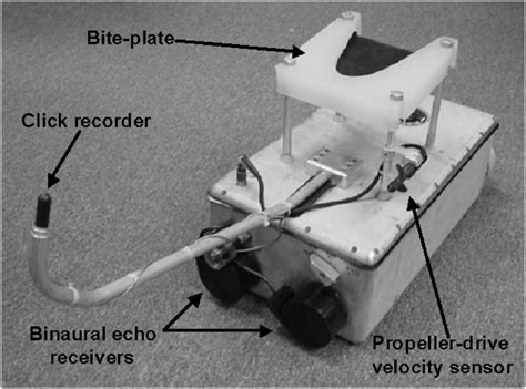 Photograph Of The Bmt With The Click Detector Hydrophone Binaural