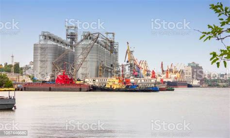 다시 로드 터미널의 일환으로 곡물 및 Oilseeds의 환 적에 대 한 높이기 복잡 농산물의 운송입니다 건설 산업에 대한 스톡 사진 및 기타 이미지 Istock