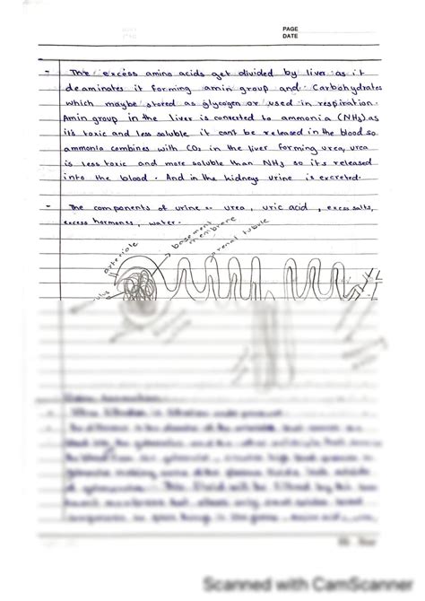 Solution Igcse Olevels Biology Excretion Hand Studypool