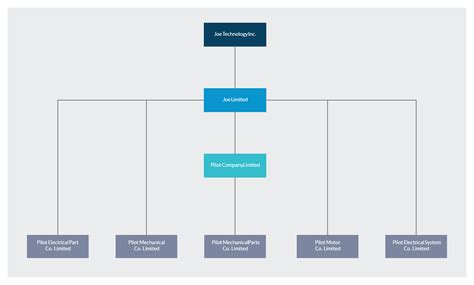 Holding Company Structure Chart Template Alberguepankotsi