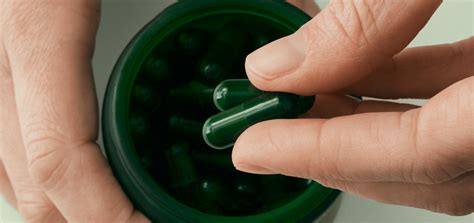 Bifidobacterium Lactis What Science Says About This Gut Microbe