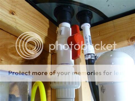 Leaking Bulkhead Please Help Omg Sdkjnkalksdn Uy Bidqkd Ahhh 3reef Aquarium Forums